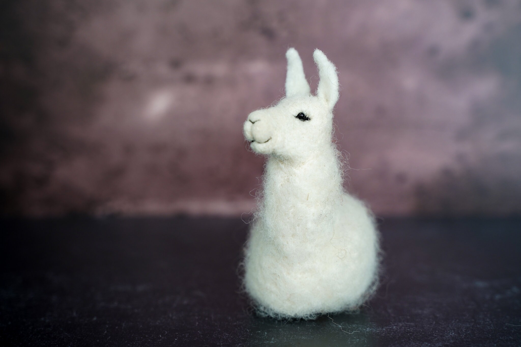 Llama Felting Kit Needle Felting Kit DIY Kit Craft Kit - Etsy