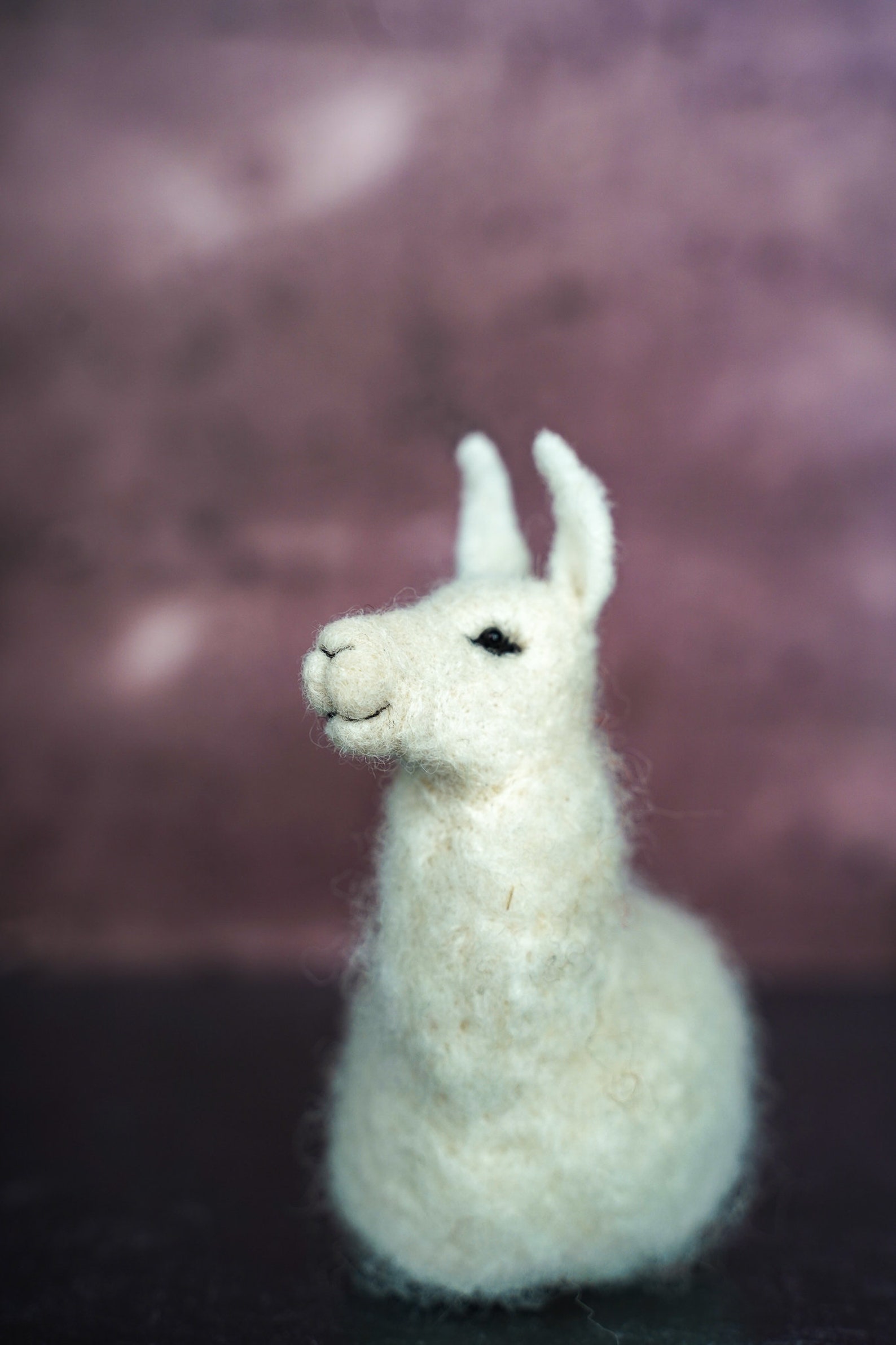 Llama Felting Kit Needle Felting Kit DIY Kit Craft Kit - Etsy