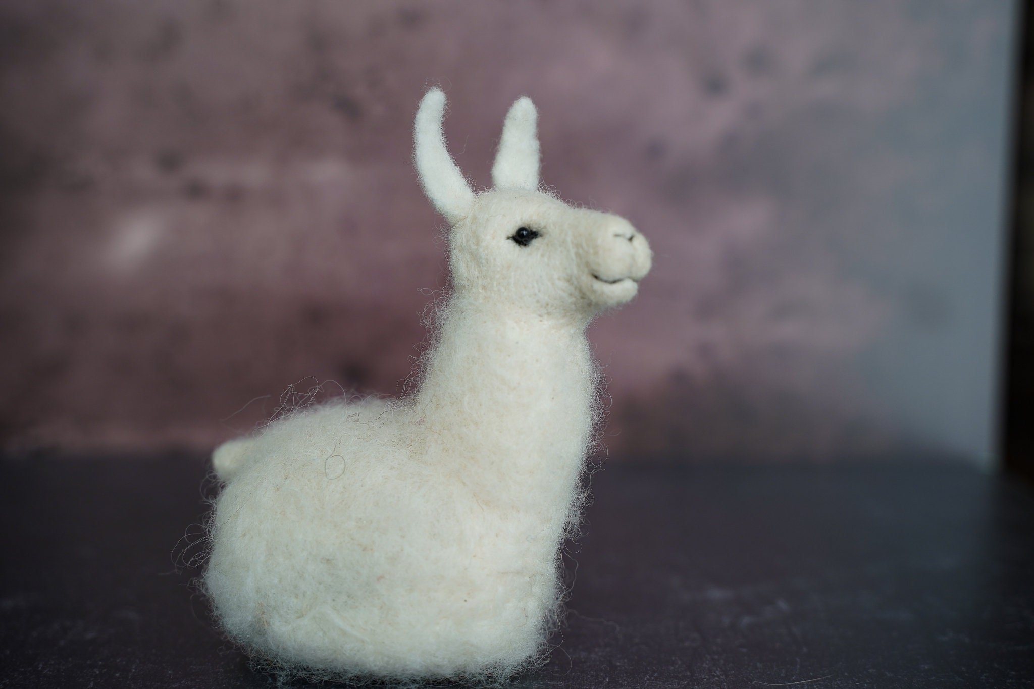 Llama Felting Kit Needle Felting Kit DIY Kit Craft Kit - Etsy