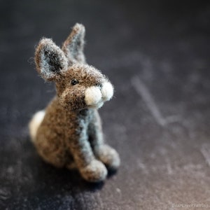 Rabbit Felting Kit Needle Felting Kit DIY Kit Craft Kit Felting ...