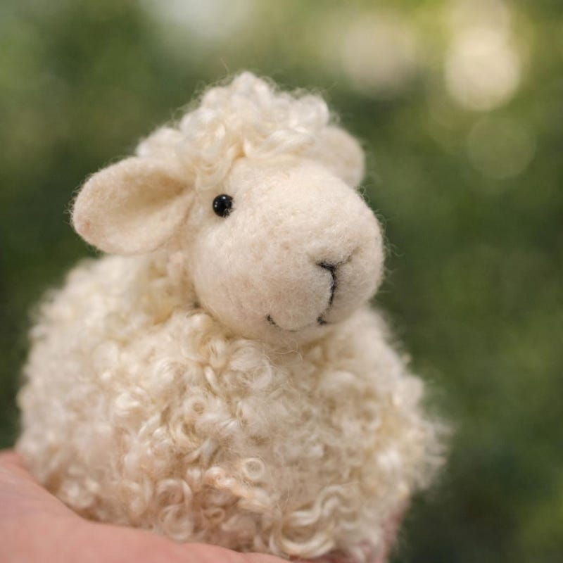 Sheep needle felting kit beginner - Etsy.de
