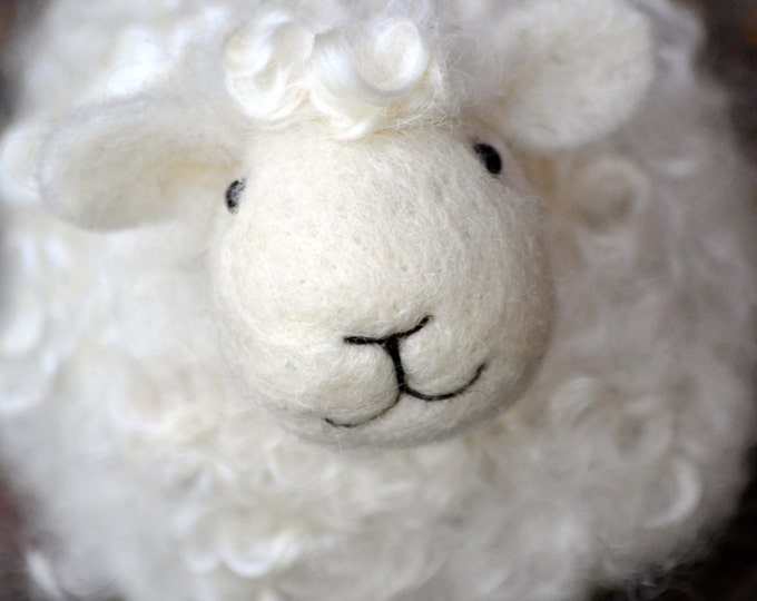 Needle Felting Kit - DIY Sheep for Beginners - Everything You Need - Etsy