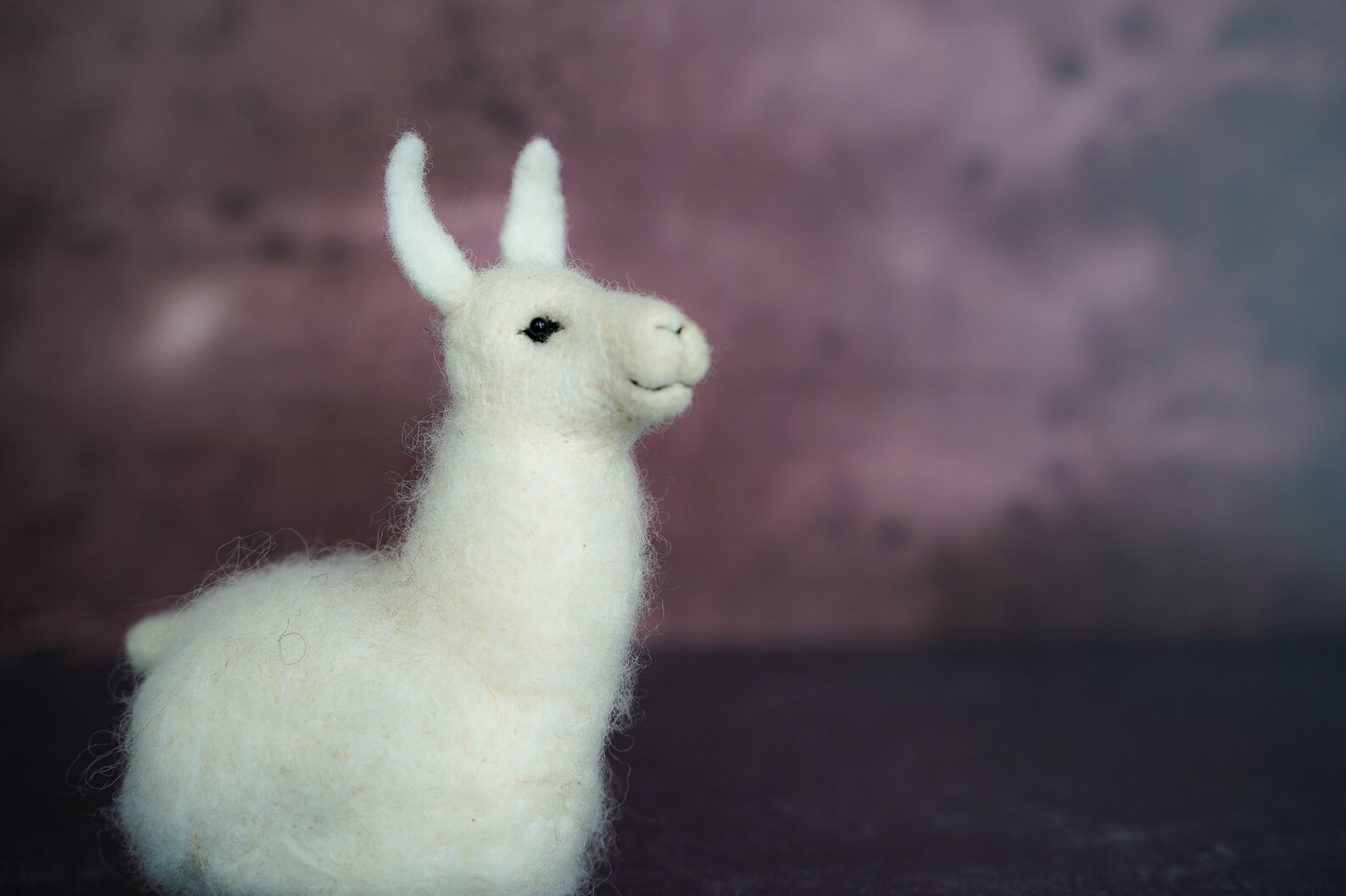 Llama Felting Kit Needle Felting Kit DIY Kit Craft Kit - Etsy