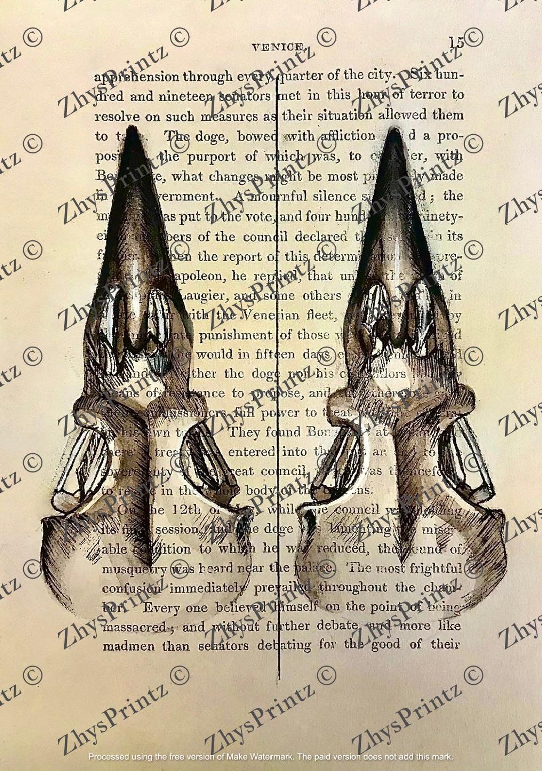 Original Bird Skull Wall Art - Etsy