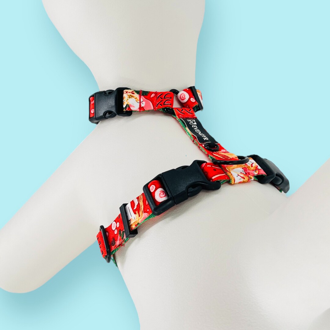 Guard Dog Harness With 3 Buckles dogyo - Etsy