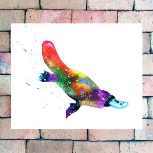 ORIGINAL Cosmic Platypus Watercolor Painting 9X12 - Etsy