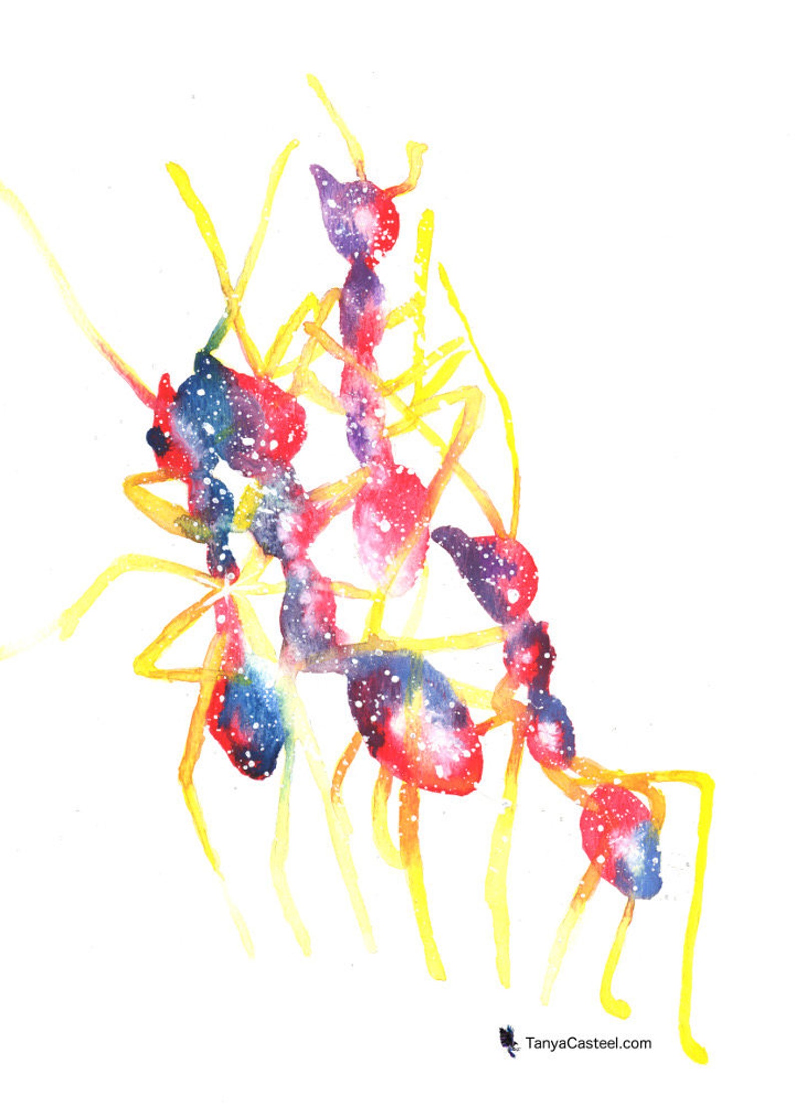 Cosmic Ants ORIGINAL Watercolor 9X12 - Etsy