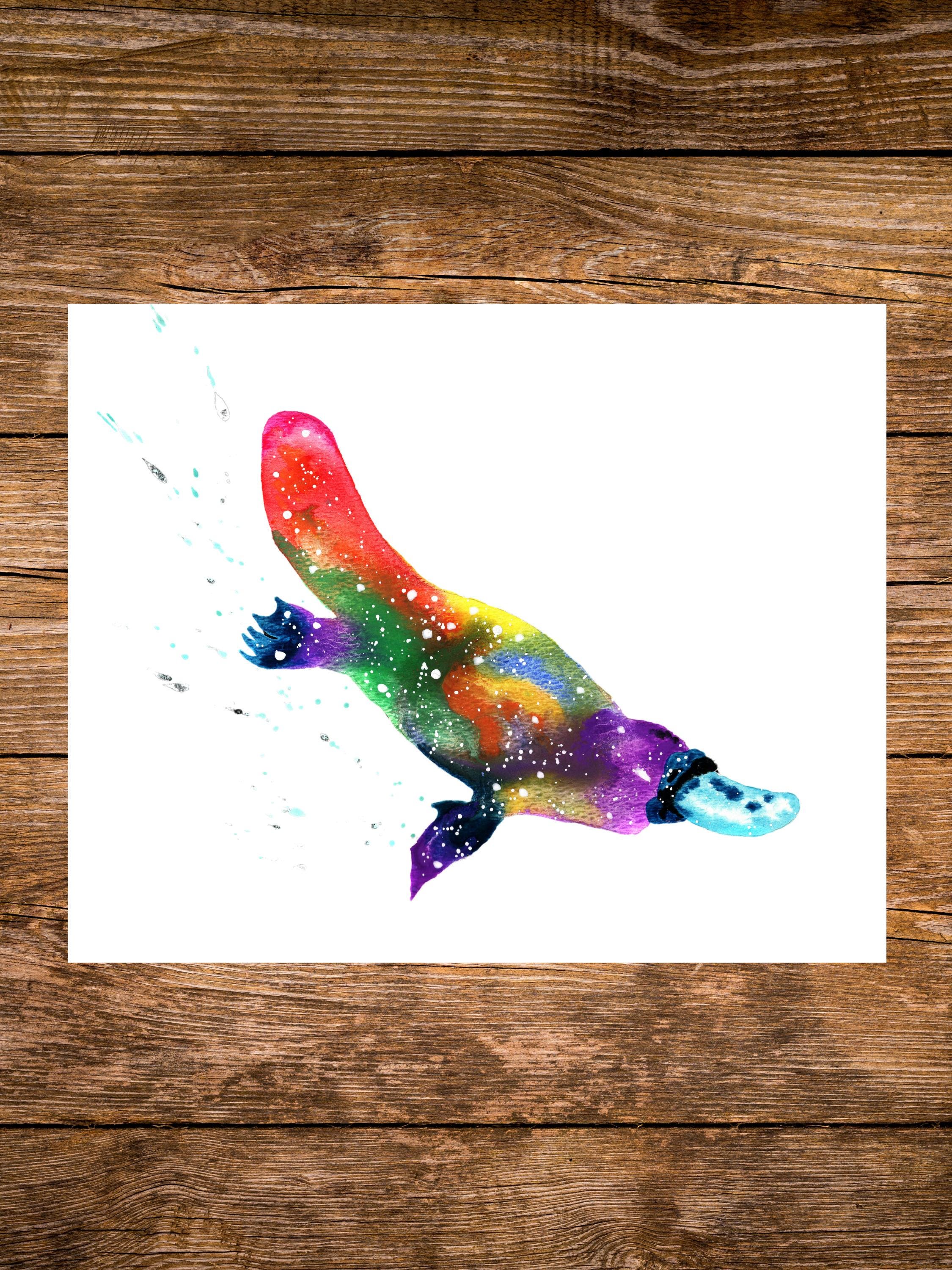 ORIGINAL Cosmic Platypus Watercolor Painting 9X12 - Etsy