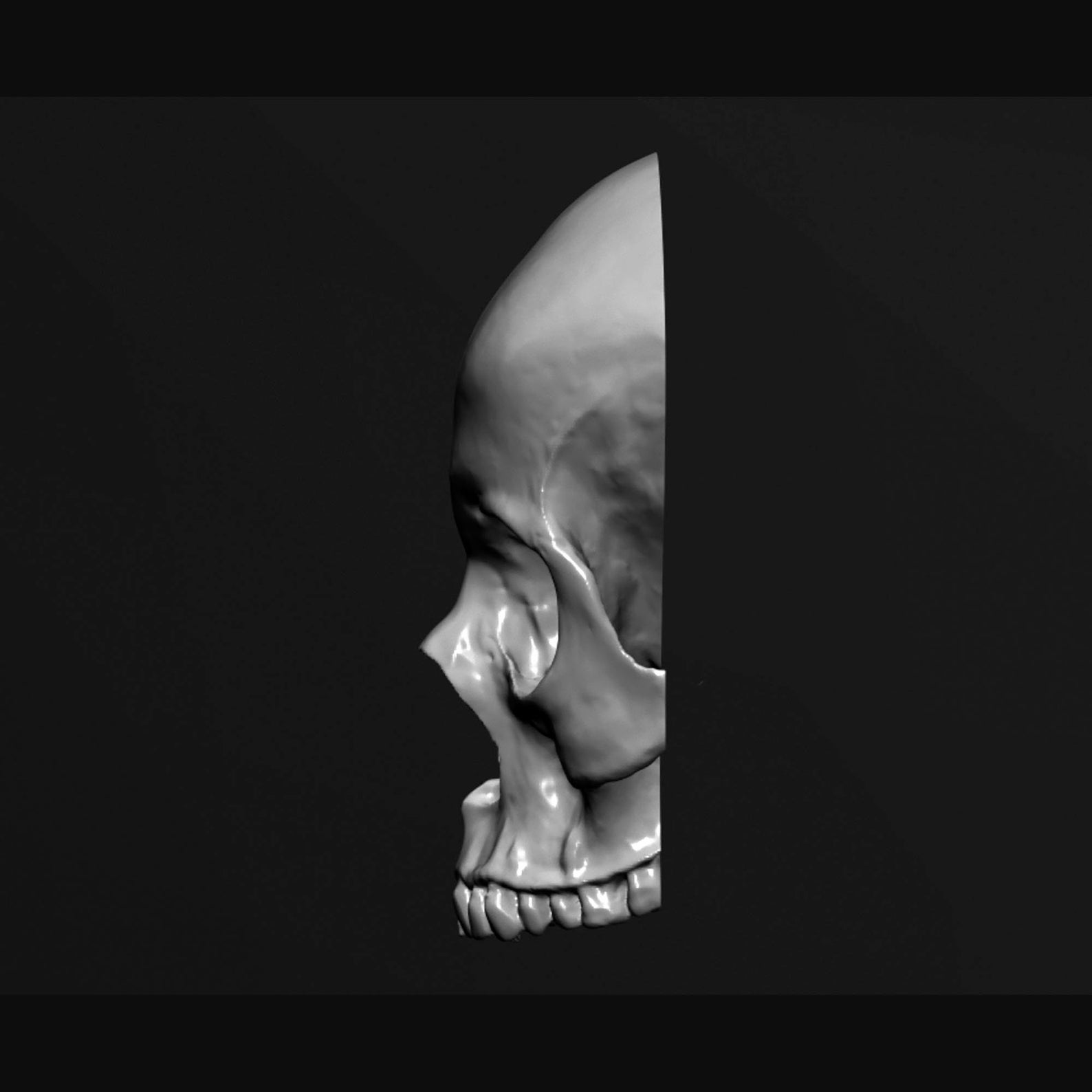 Skull Flat Back STL Digital File for 3D Printing - Etsy