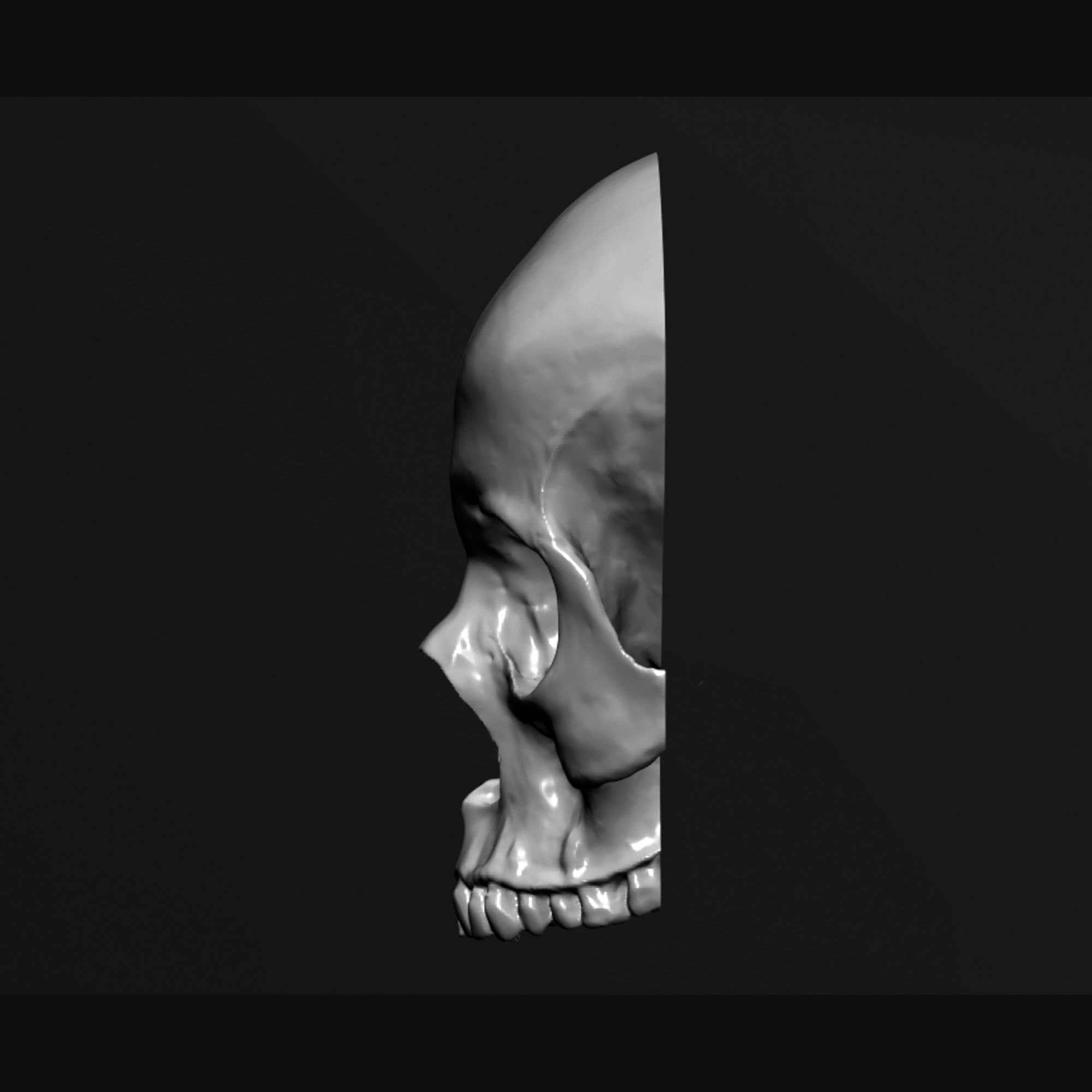 Skull Flat Back STL Digital File for 3D Printing - Etsy
