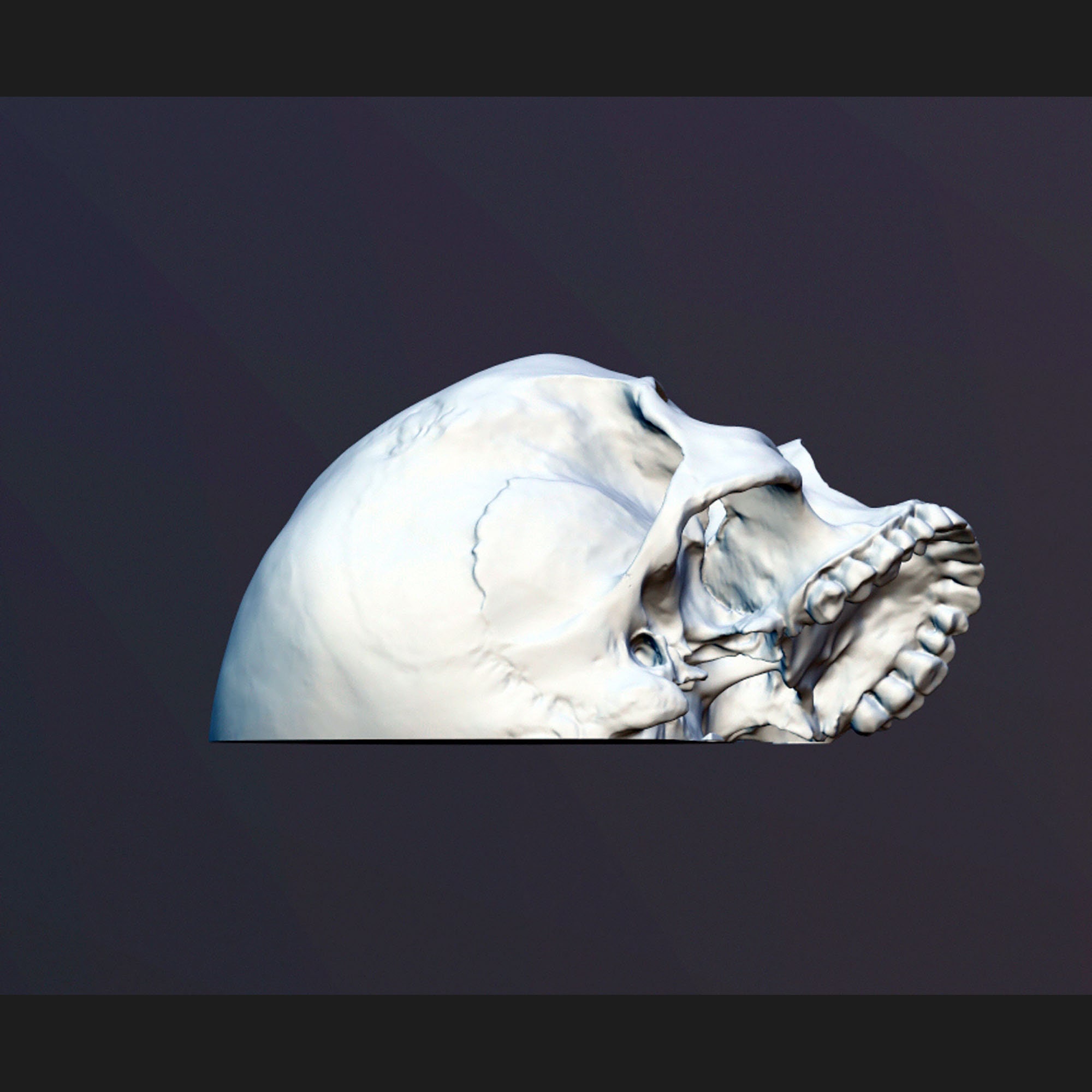 Skull With Flat Base STL Digital File for 3D Printing - Etsy