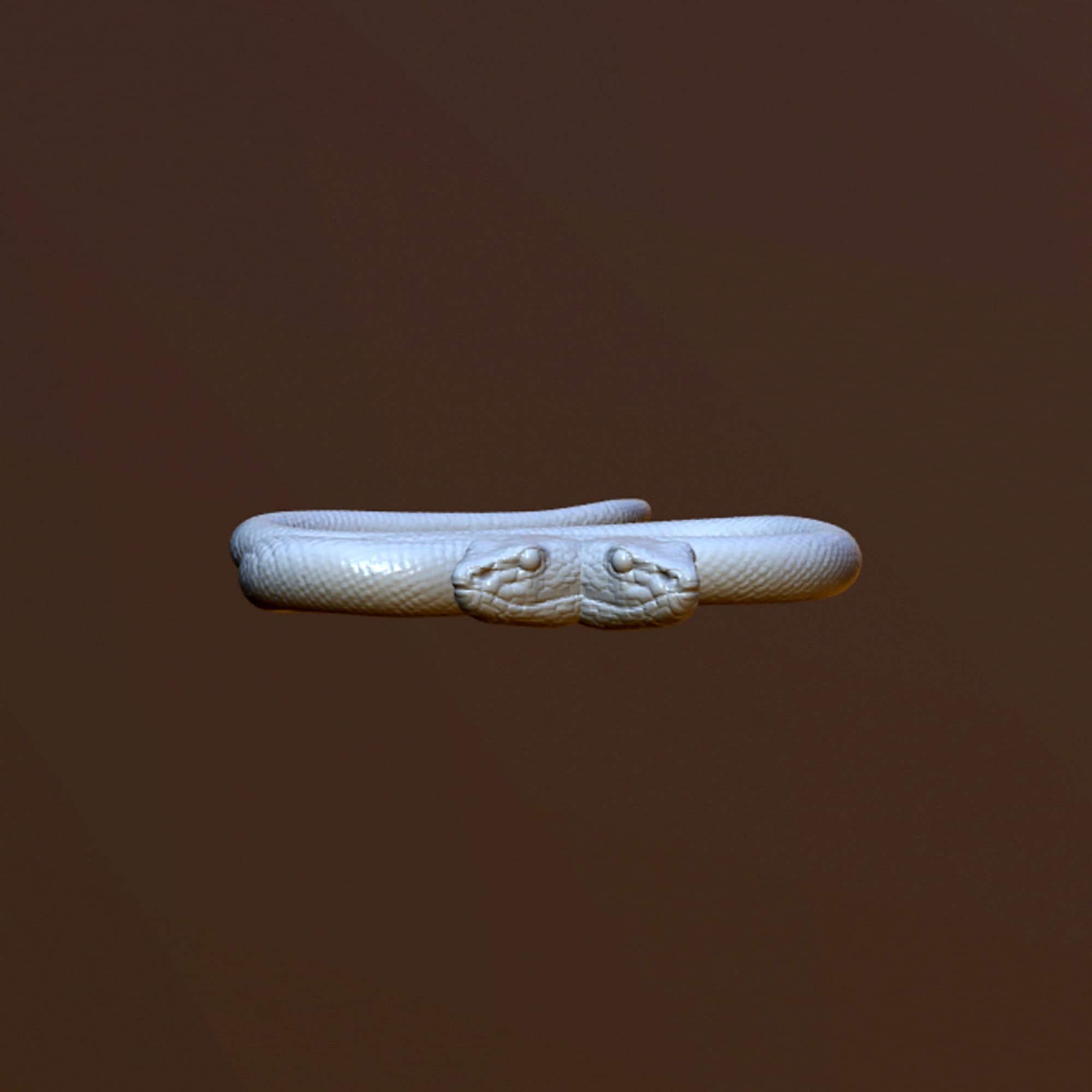 Two Headed Snake STL Digital File for 3D Printing - Etsy