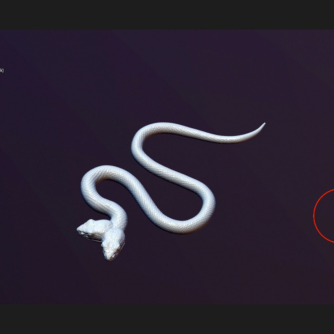 Two Headed Snake STL Digital File for 3D Printing - Etsy