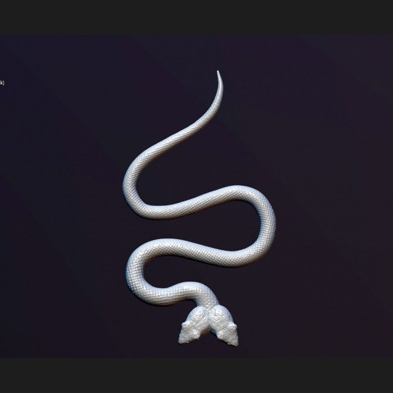 Two Headed Snake STL Digital File for 3D Printing - Etsy