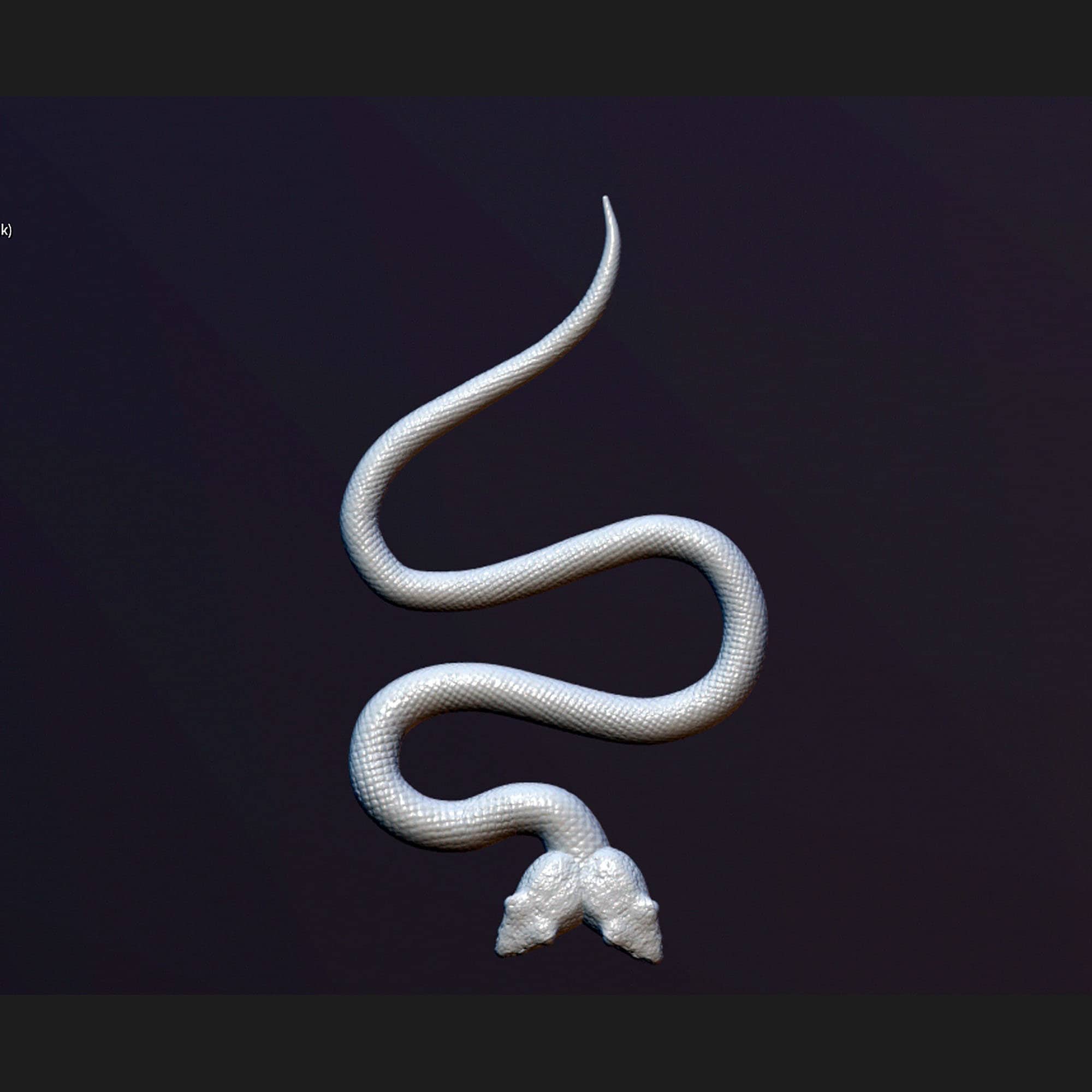 Two Headed Snake STL Digital File for 3D Printing - Etsy