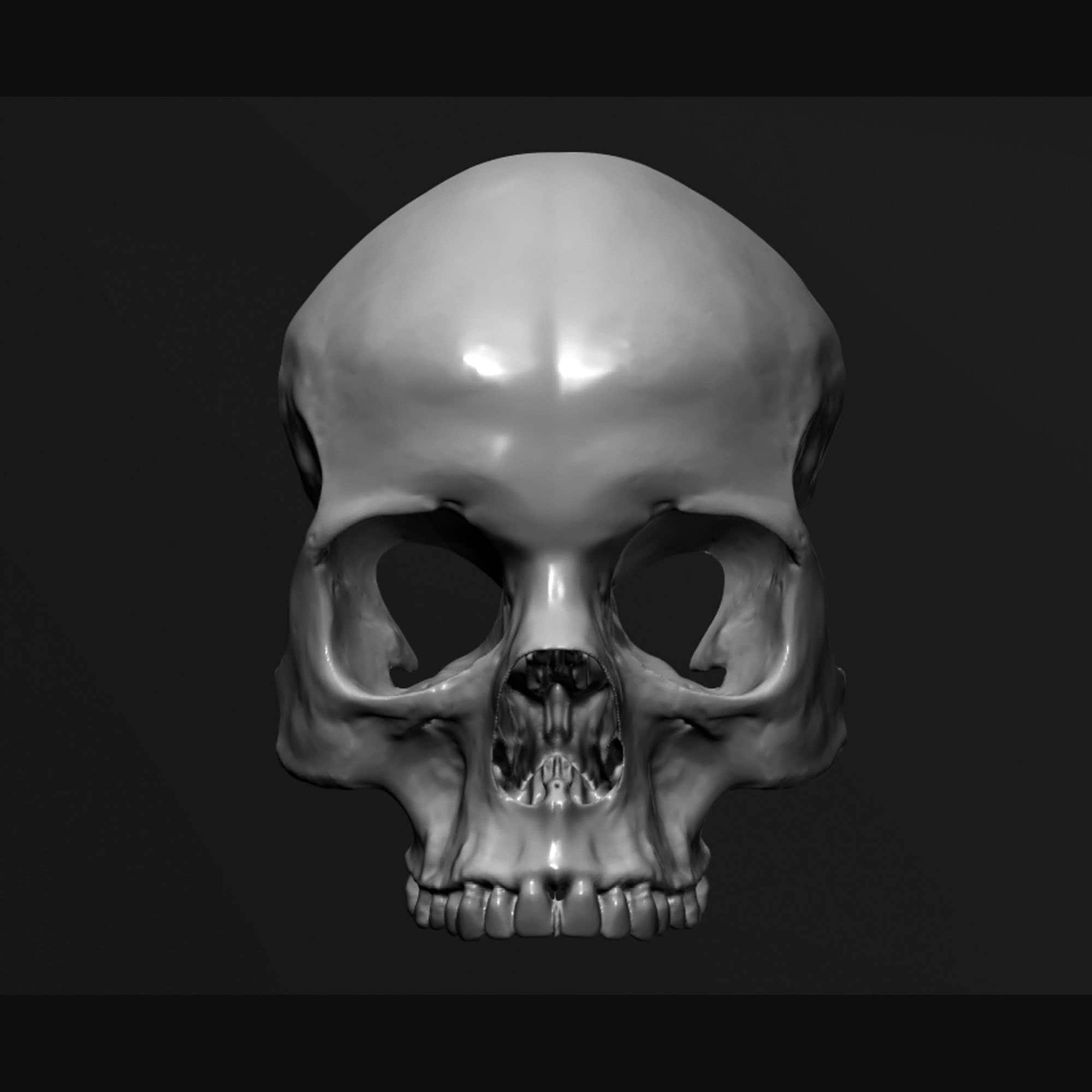 Skull Flat Back STL Digital File for 3D Printing - Etsy