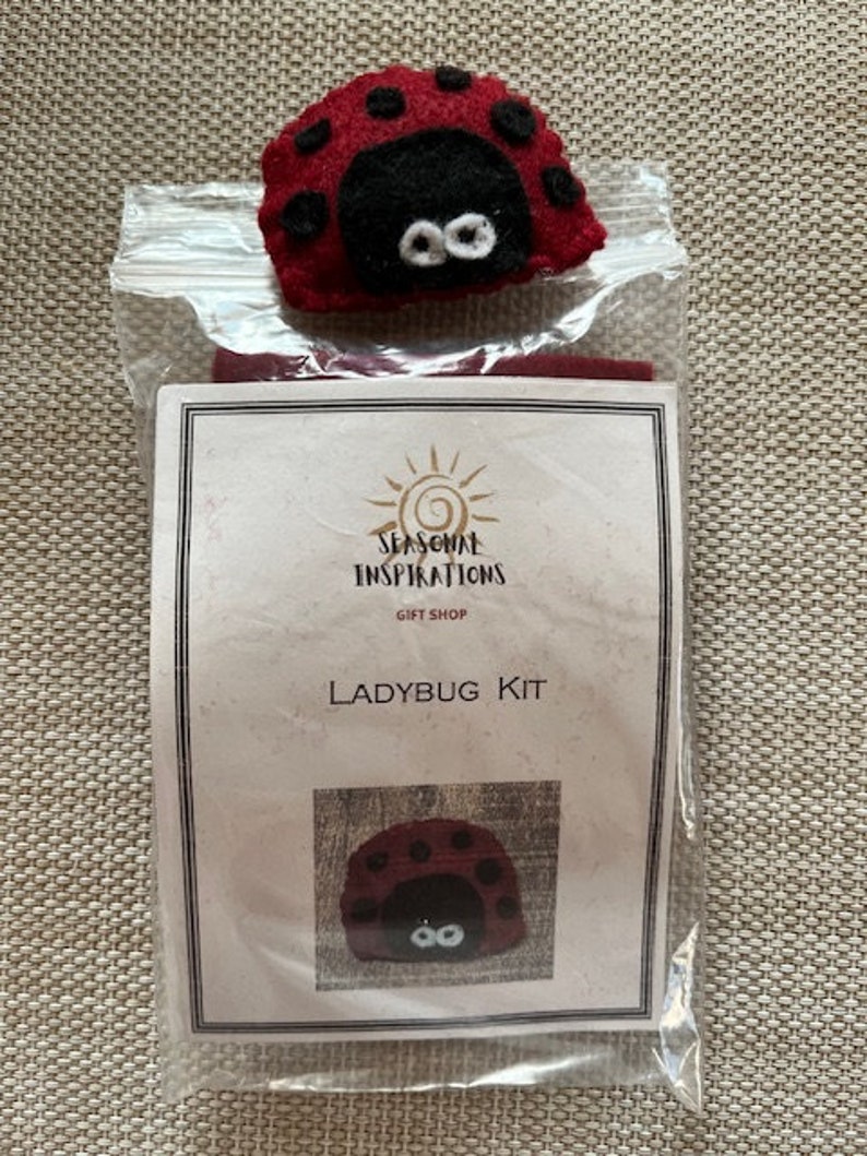 Handstitched Felt Ladybug Craft Kit - Etsy
