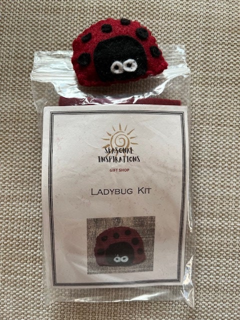 Handstitched Felt Ladybug Craft Kit - Etsy