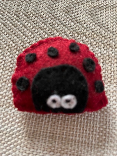 Handstitched Felt Ladybug Craft Kit - Etsy