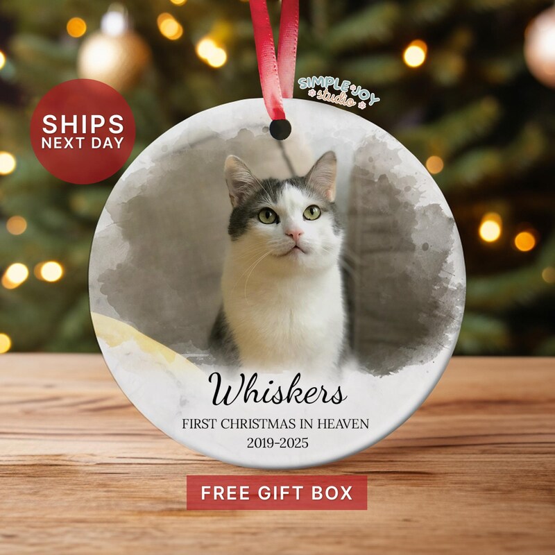 Calico Cat Heaven - Etsy