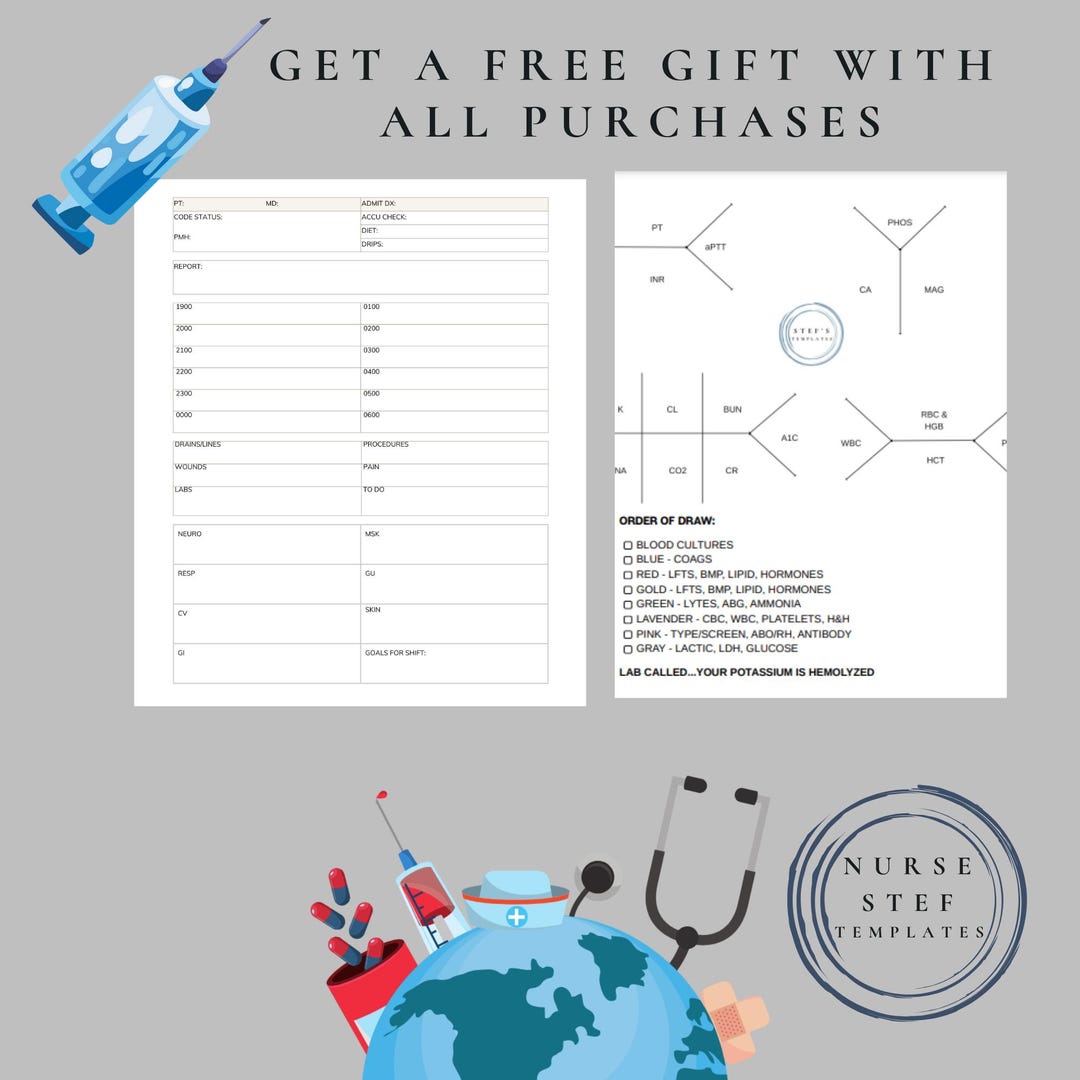 Meds & Assessment Basic Nursing Shift Report Sheet Organizer, SBAR Day ...