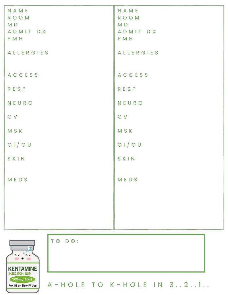 Funny Shift Report Sheet for ER Nurse Documentation, Funny A-hole to K ...
