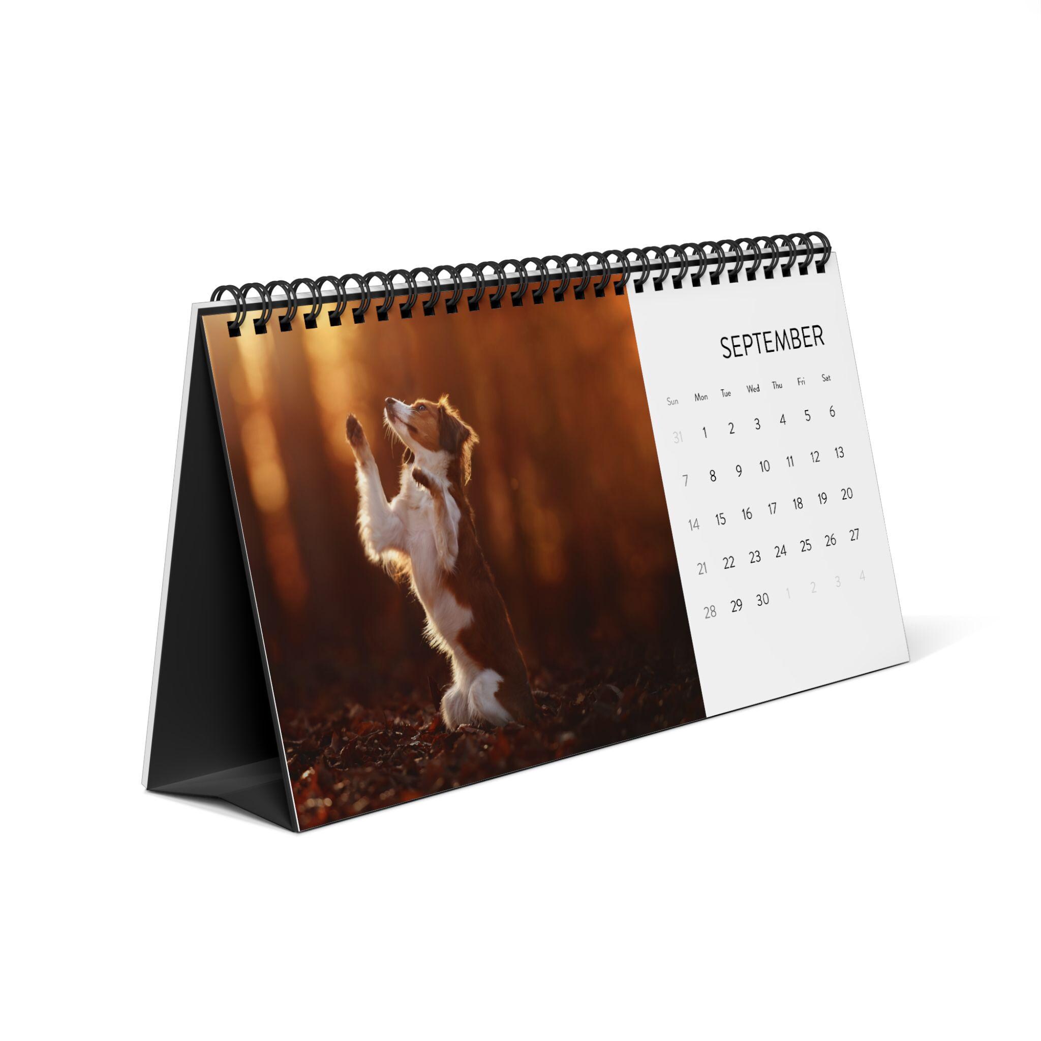 2025 Dog Themed Calendar, 2025 Desk Calendar, 2025 Dog Calendar, Dog ...
