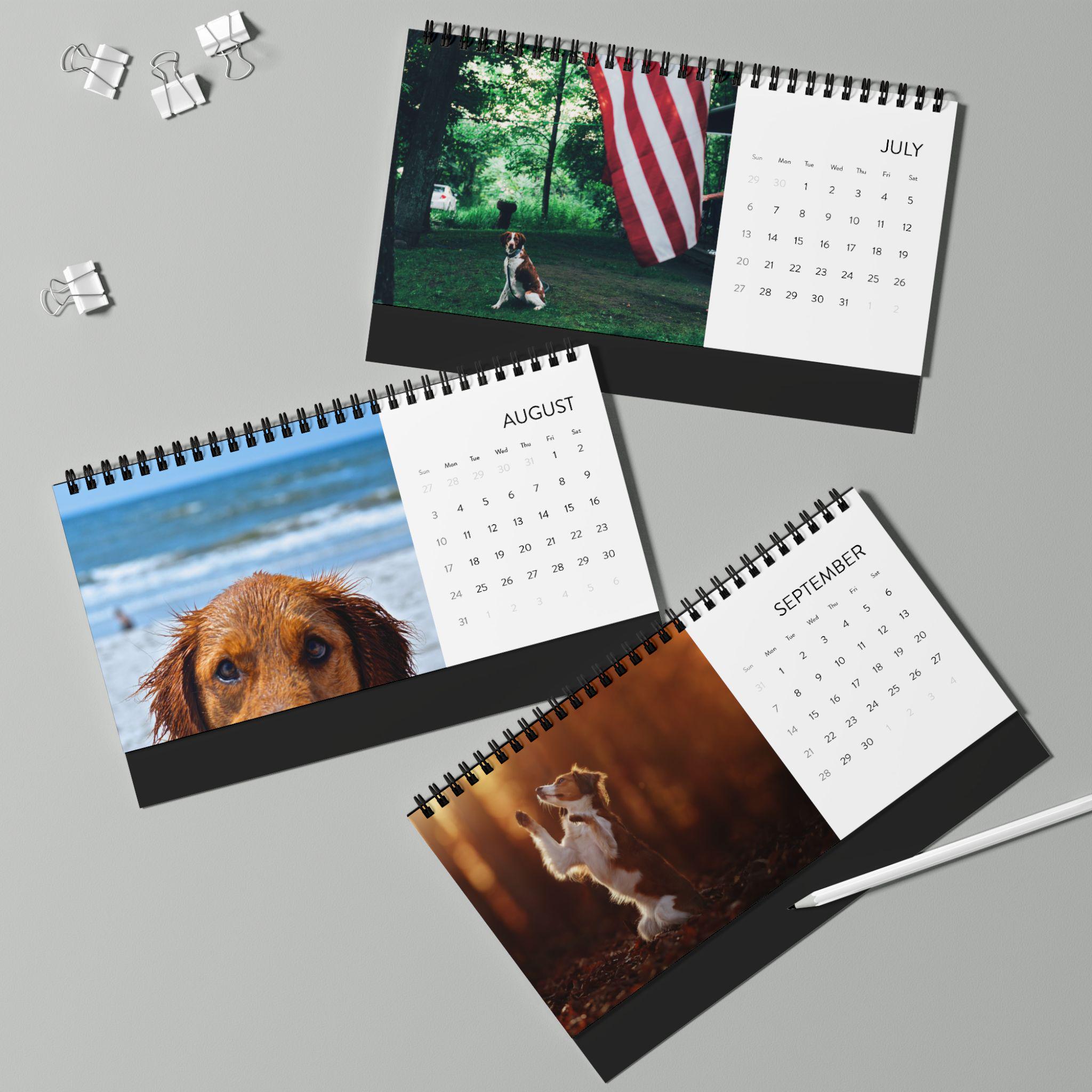 2025 Dog Themed Calendar, 2025 Desk Calendar, 2025 Dog Calendar, Dog ...