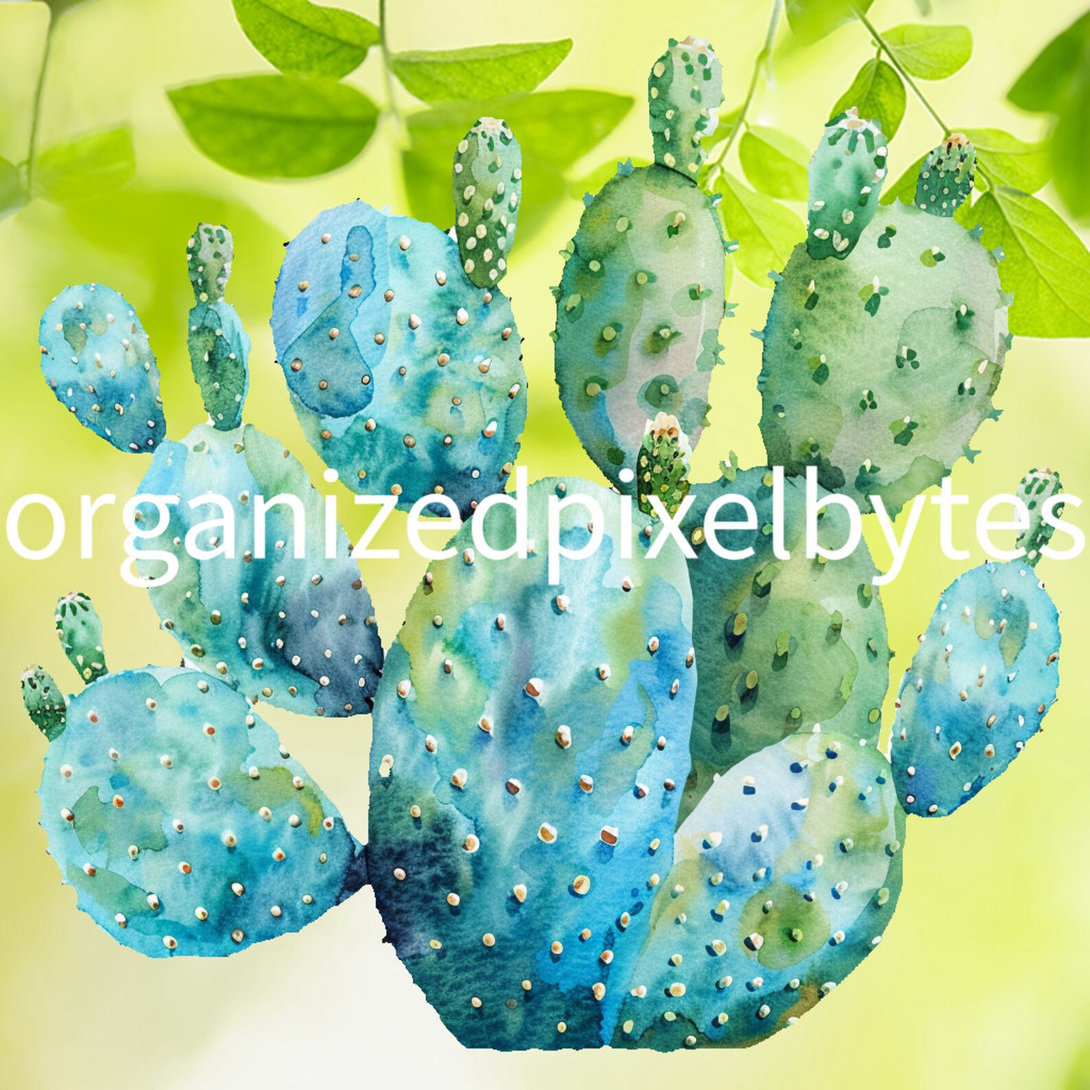 Watercolor Cactus Clip Art Bundle PNG Digital Scrapbook Watercolor Clip ...