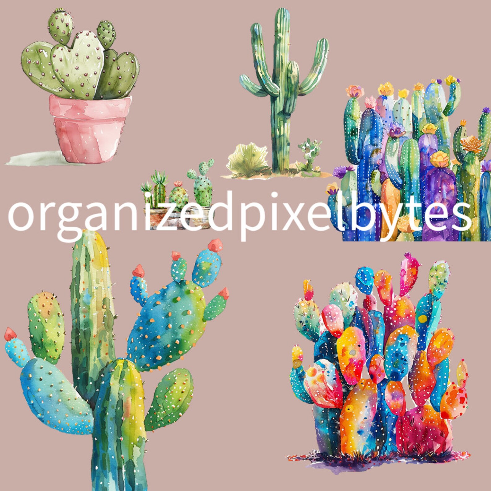 Watercolor Cactus Clip Art Bundle PNG Digital Scrapbook Watercolor Clip ...