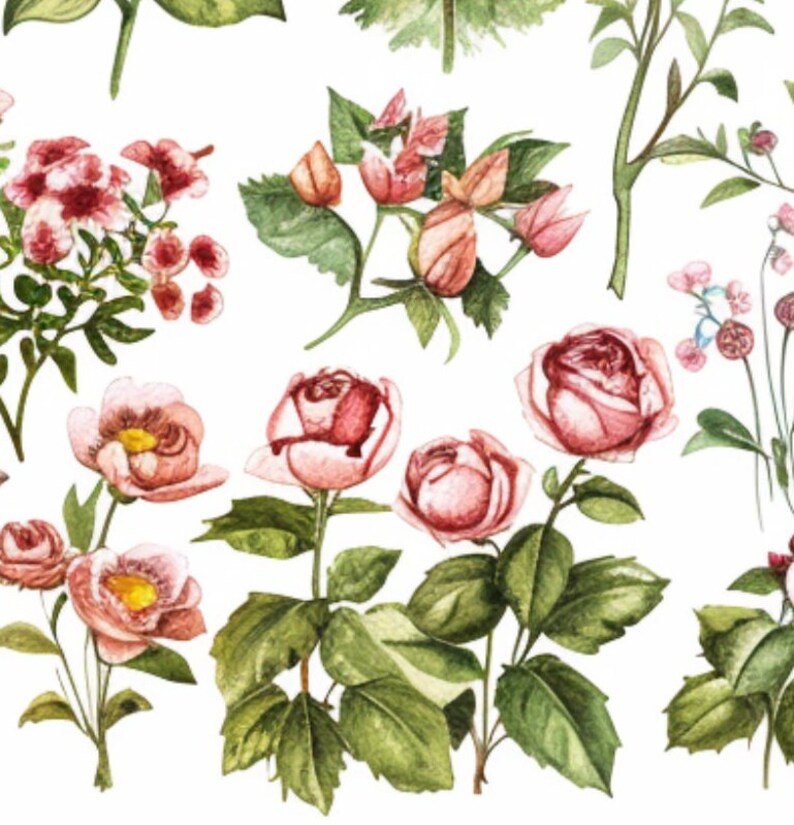 Cottage Core Clip Art Bundle Digital Scrapbook Watercolor Clip Art ...