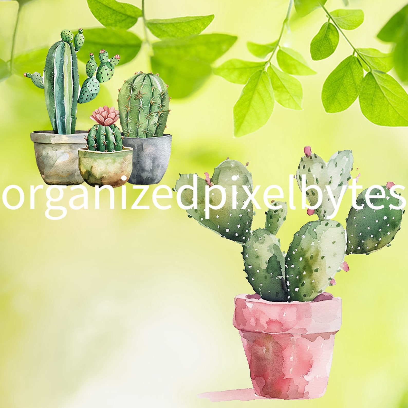Watercolor Cactus Clip Art Bundle PNG Digital Scrapbook Watercolor Clip ...