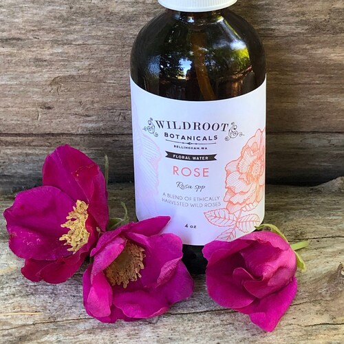 Wild Rose Elixir // Herbal Extract Made With Wild Roses and - Etsy
