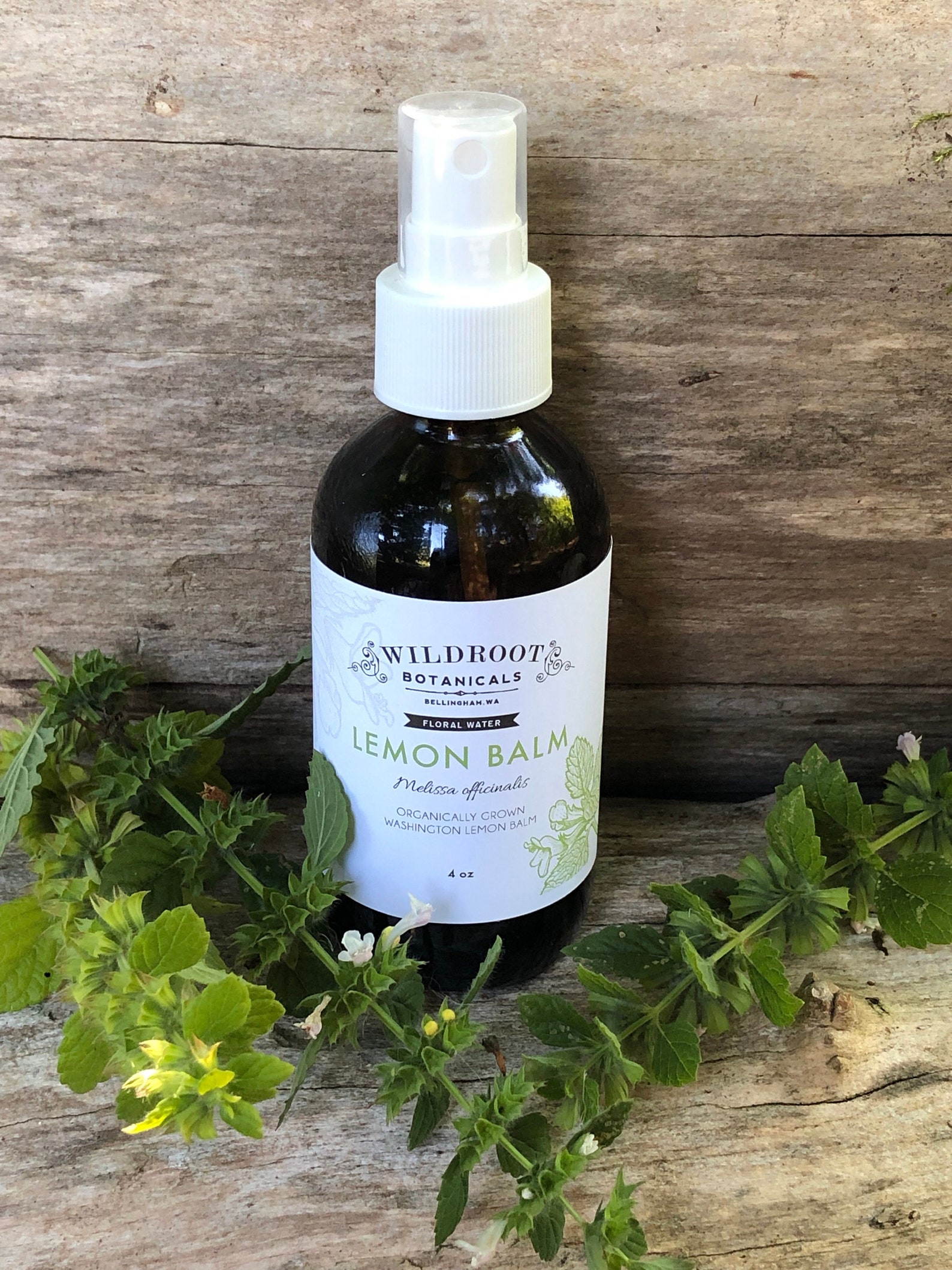 Lemon Balm Hydrosol - Etsy