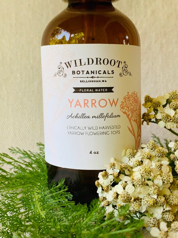 Yarrow Hydrosol | Etsy