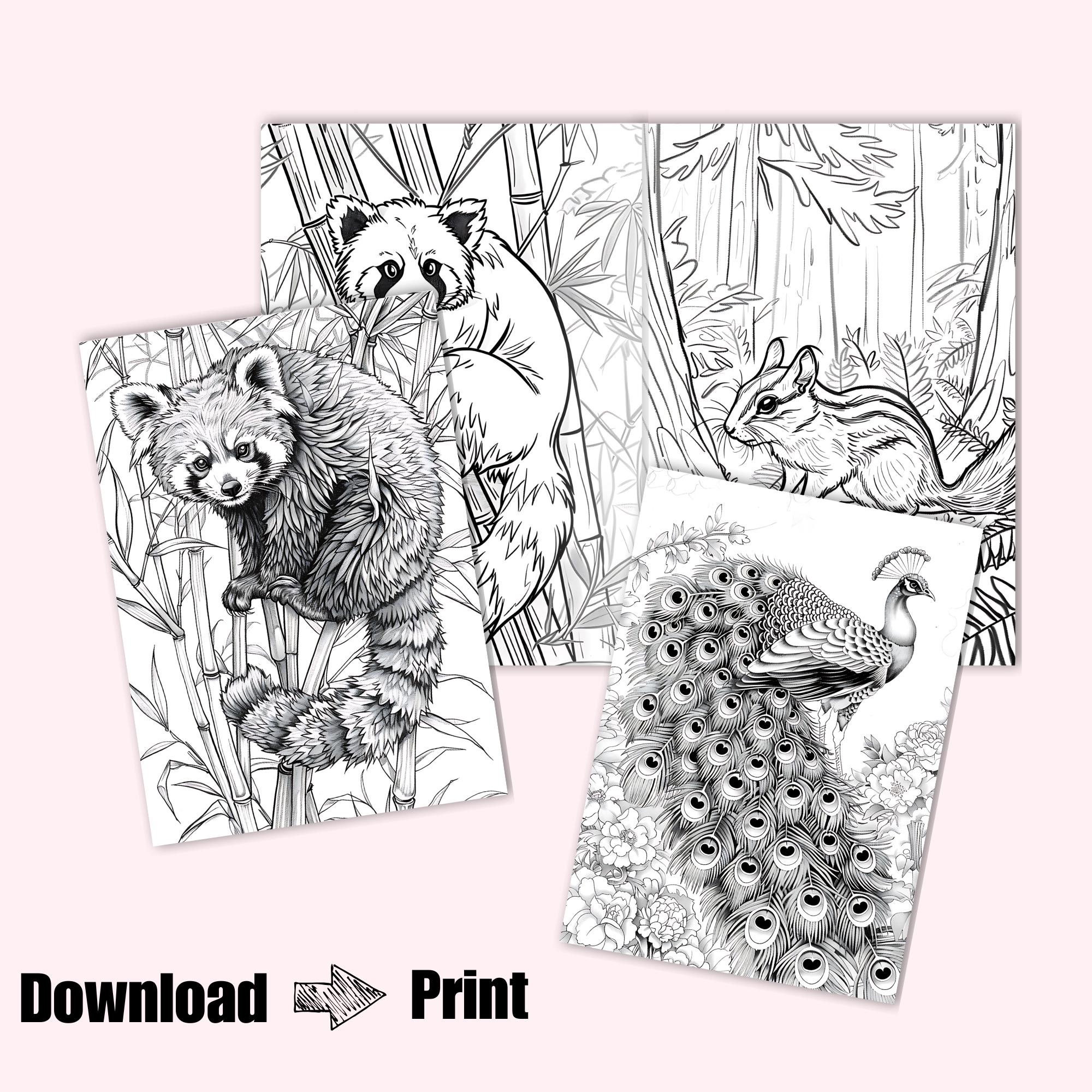 1000+ Animal Coloring Pages Bundle, Kids & Adults Kawaii Art Book ...