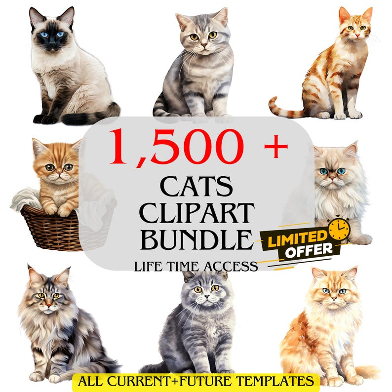 Cats Clipart Bundle 1500+: Watercolor Kitten Graphics (digital Download ...