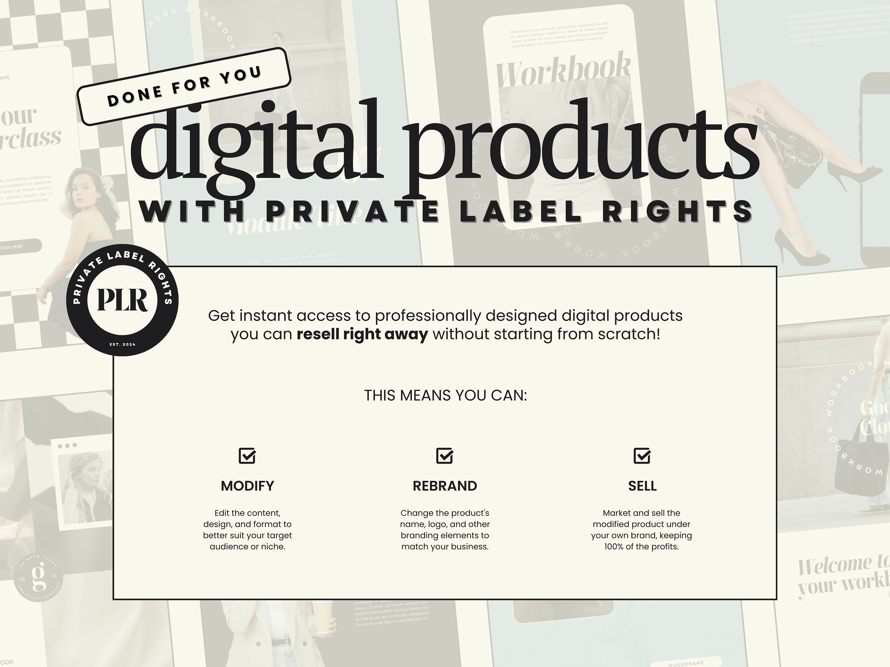 Canva Resellable Digital Products, Done for You Designs With Private ...