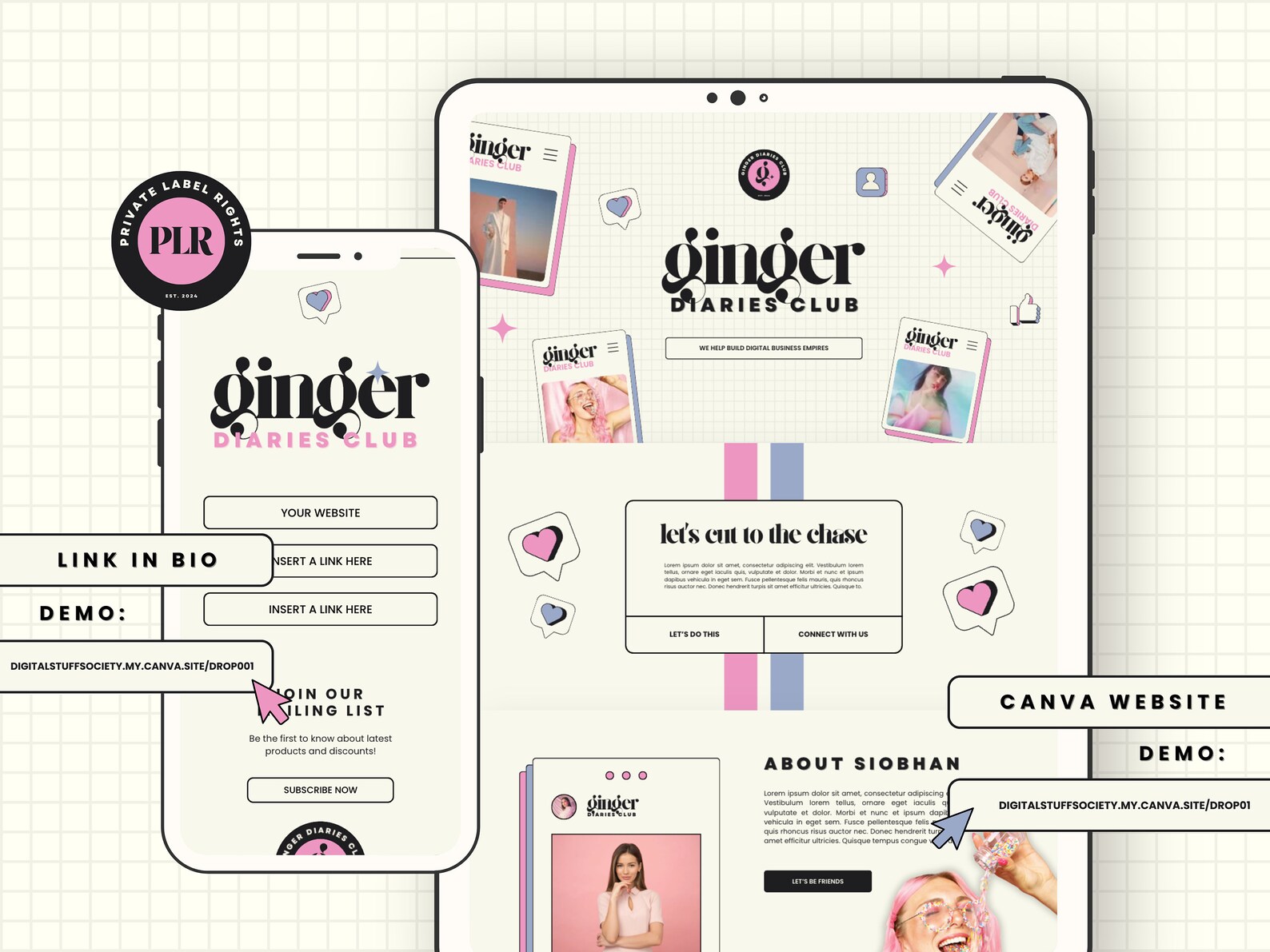 Canva Resellable Digital Products, Done for You Designs With Private ...