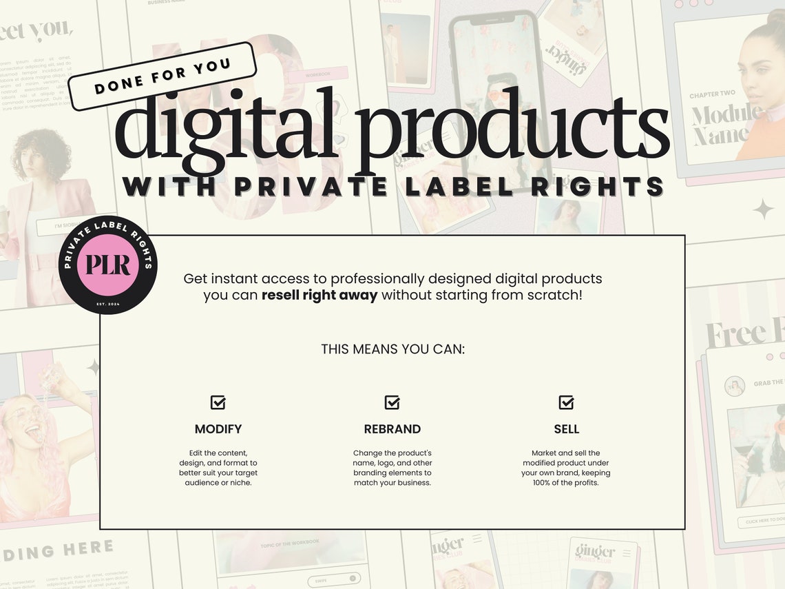 Canva Resellable Digital Products, Done for You Designs With Private ...