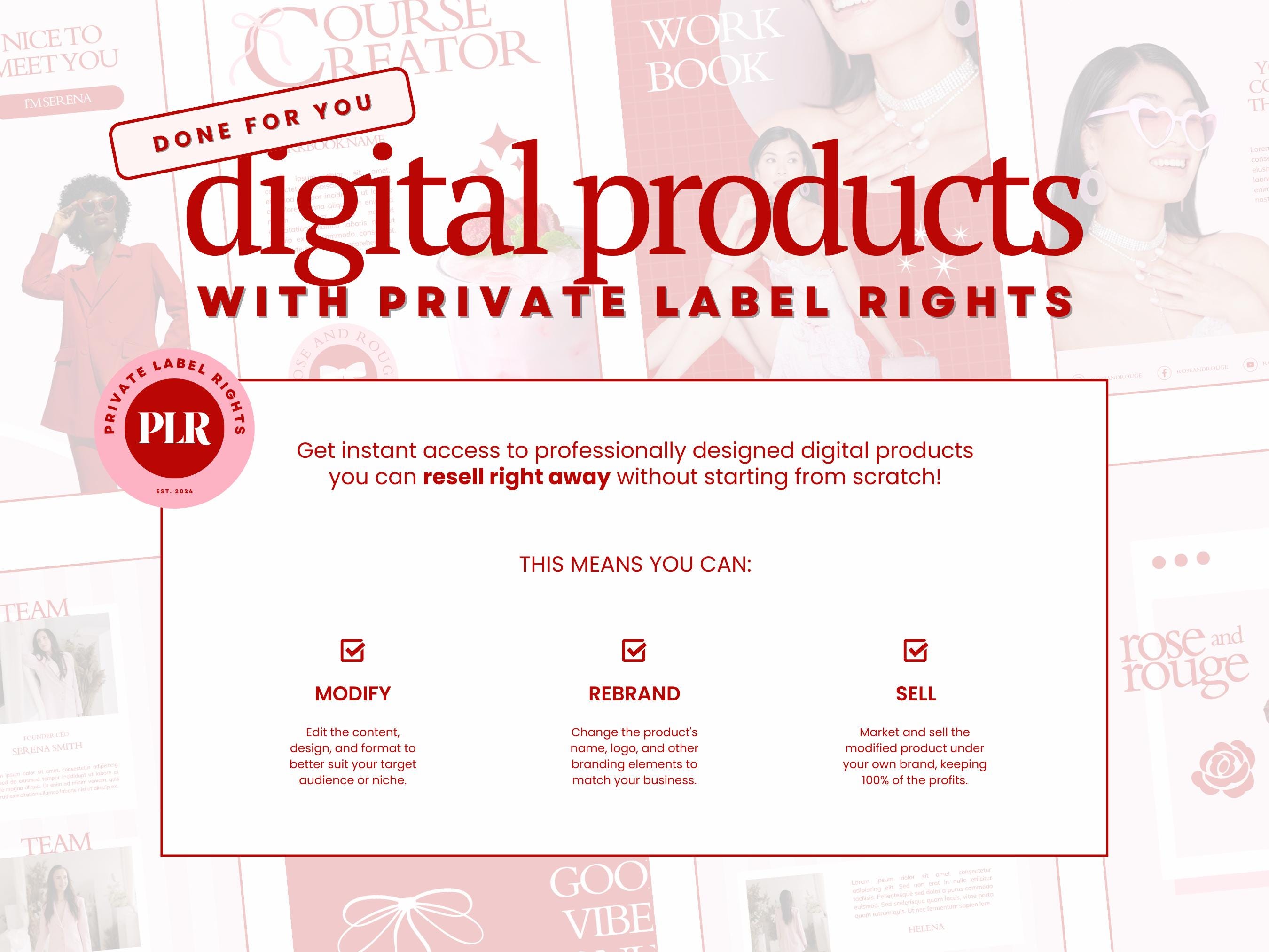 Canva Resellable Digital Products, Done for You Designs With Private ...