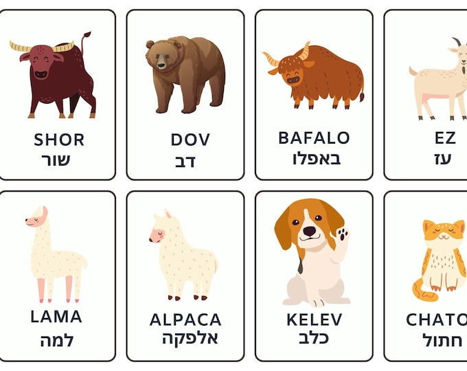 42 Animals in Hebrew Printable Flash Cards - Etsy
