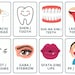Body Parts in Hebrew Printable Flash Cards - Etsy