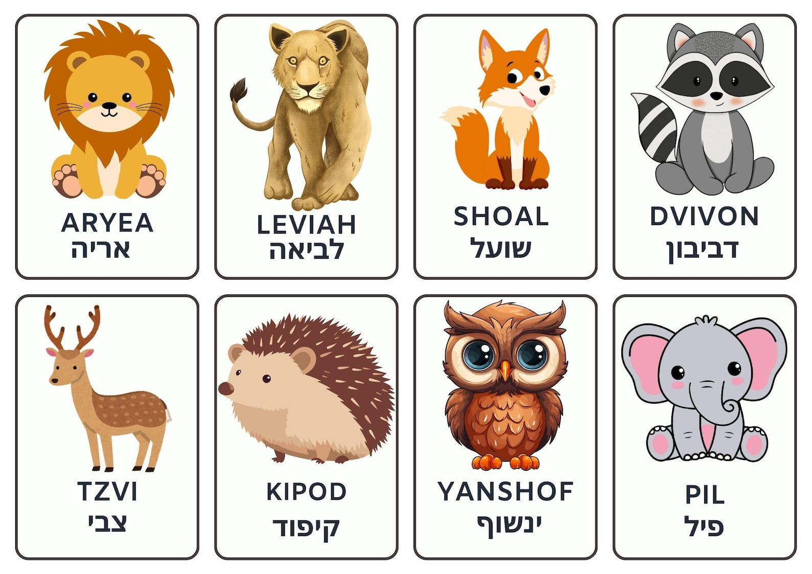 42 Animals in Hebrew Printable Flash Cards - Etsy