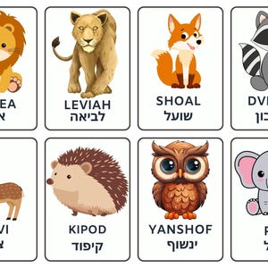 42 Animals in Hebrew Printable Flash Cards - Etsy