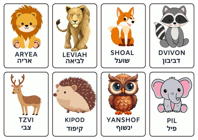 42 Animals in Hebrew Printable Flash Cards - Etsy