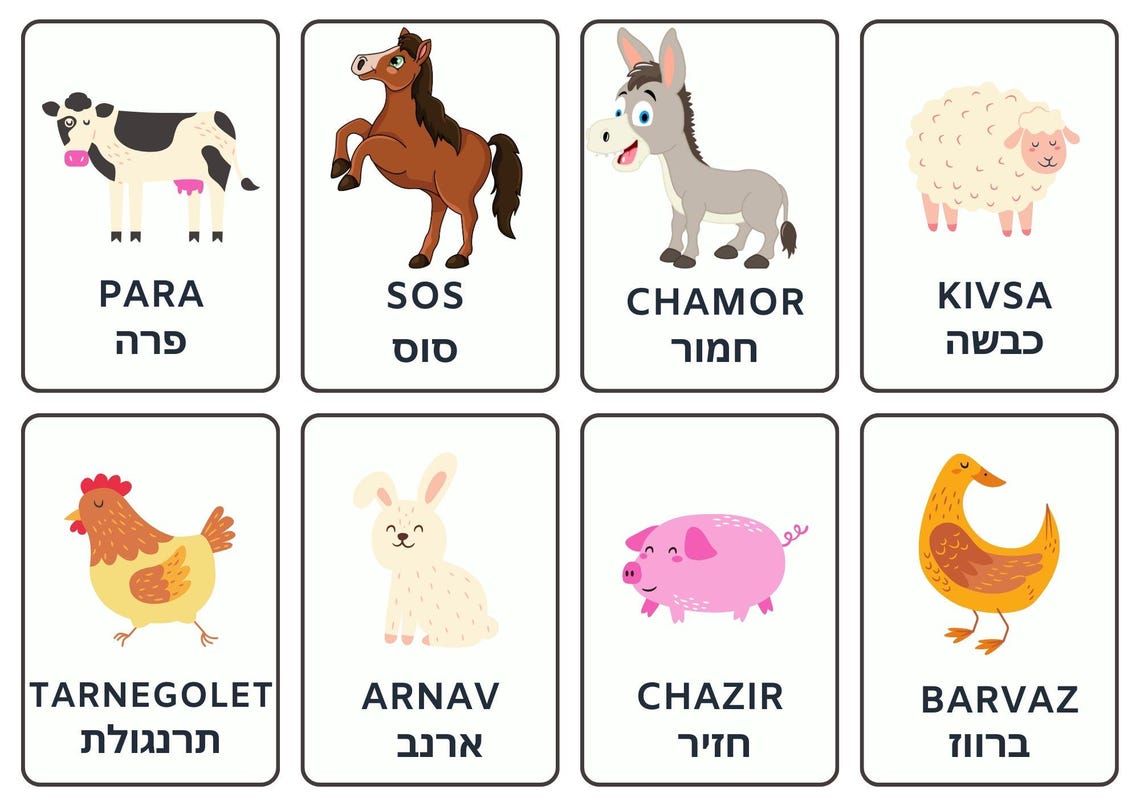 42 Animals in Hebrew Printable Flash Cards - Etsy