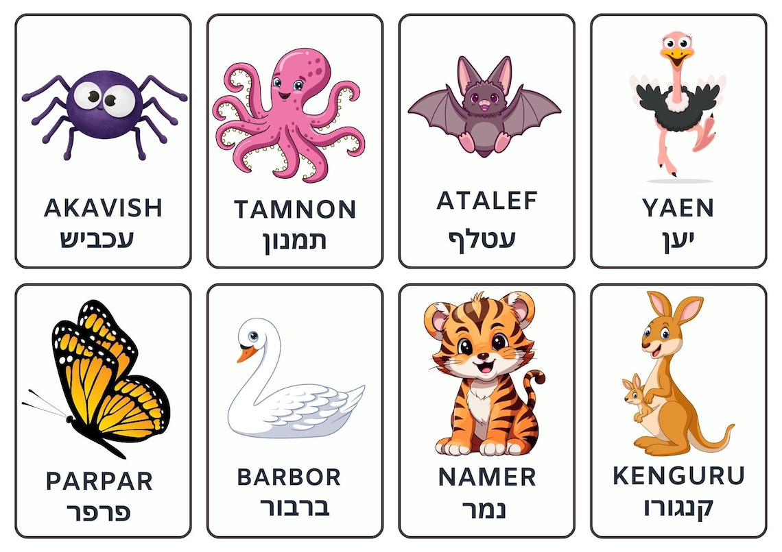 42 Animals in Hebrew Printable Flash Cards - Etsy