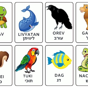 42 Animals in Hebrew Printable Flash Cards - Etsy