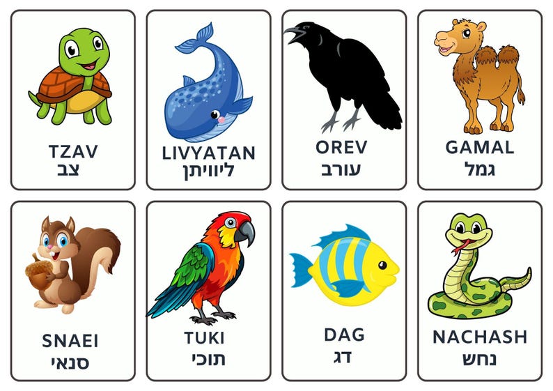 42 Animals in Hebrew Printable Flash Cards - Etsy